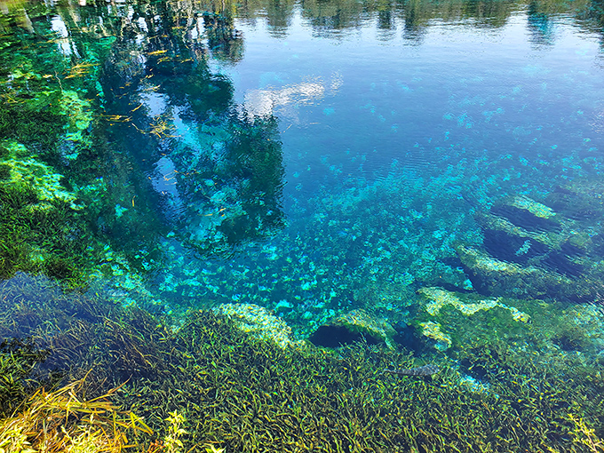 Not Photoshopped &ndash; the springs' remarkable clarity reveals an underwater world that seems almost too perfect to be real.