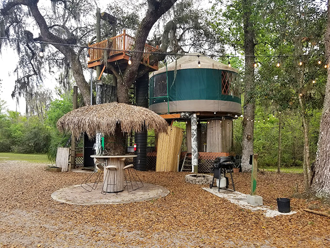 The treehouse stands like a sentinel among the branches, its cylindrical design and wooden deck creating the ultimate adult playground in the sky.