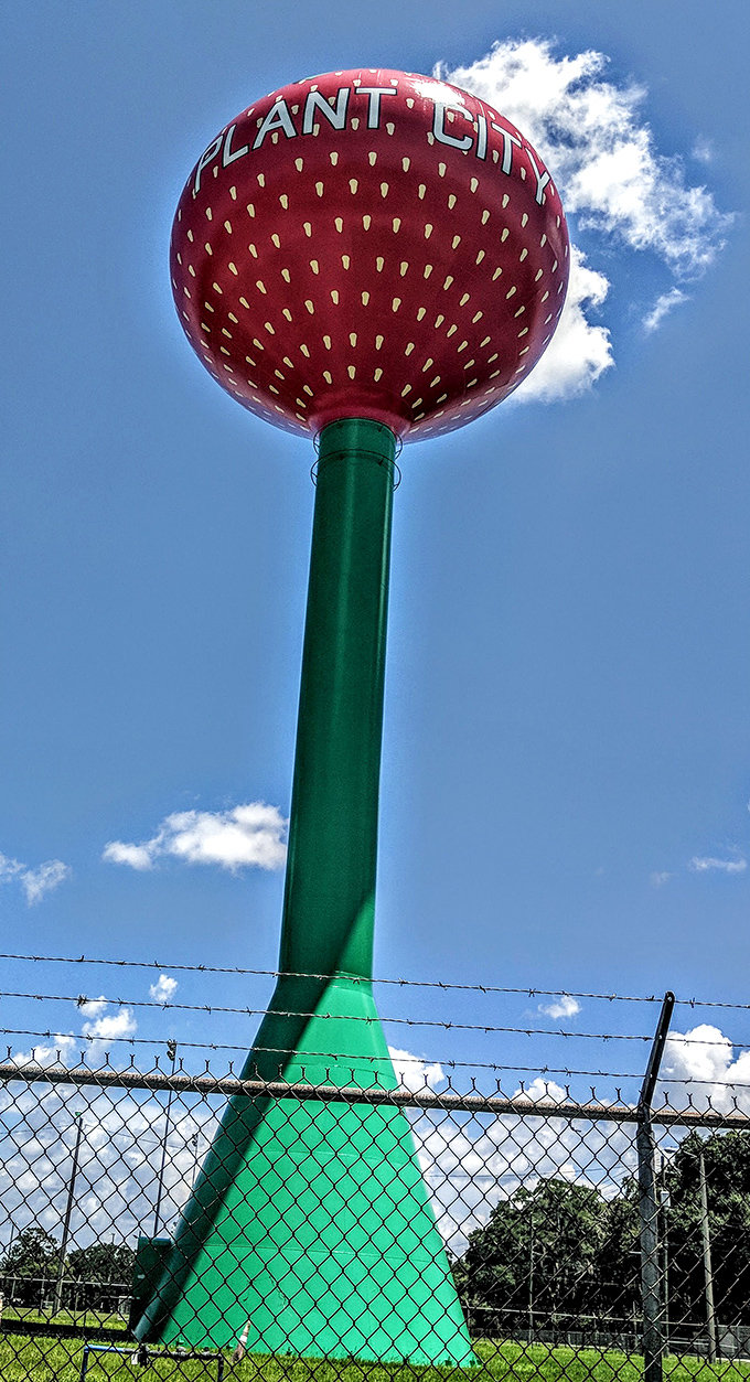 Against the brilliant blue Florida sky, the tower serves as both a practical utility and a symbol of the town's sweet agricultural heritage.