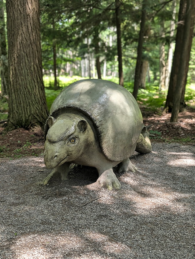 This armored glyptodon seems perfectly content in its Michigan home, despite being millions of years from its natural habitat.