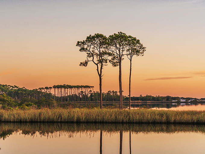 Sunset painters working overtime &ndash; tall pines stand sentinel as the day's final light creates mirror images on still waters.