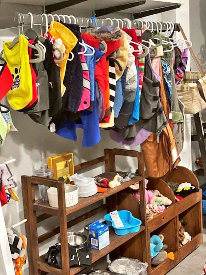 Even four-legged fashionistas find options here, with pet clothes hanging in cheerful disarray &ndash; because who says Fido can't rock a vintage look too?