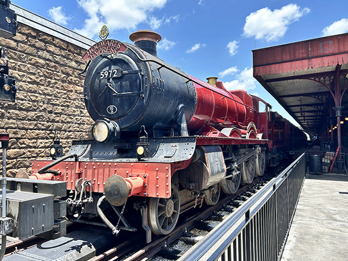 Gleaming in the Florida sunshine, the Hogwarts Express looks ready for its journey to a certain school of witchcraft and wizardry.