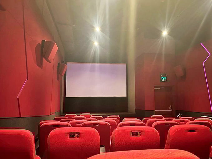 Inside the auditorium, every seat offers the perfect view of cinematic treasures you won't find at ordinary multiplexes.