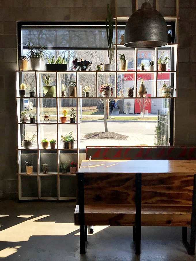 Potted plants create a living wall of greenery by the window, bringing the outside in while you feast on inside-out flavor combinations.