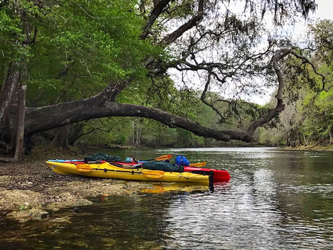 Colorful kayaks rest on the riverbank &ndash; like a box of crayons someone left after drawing the perfect day.