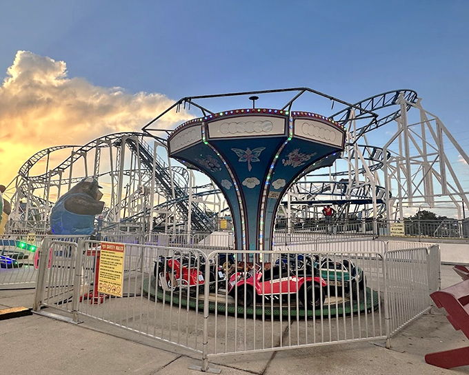 The carousel offers gentle thrills for tiny humans &ndash; proving that sometimes the simplest rides create the biggest smiles.