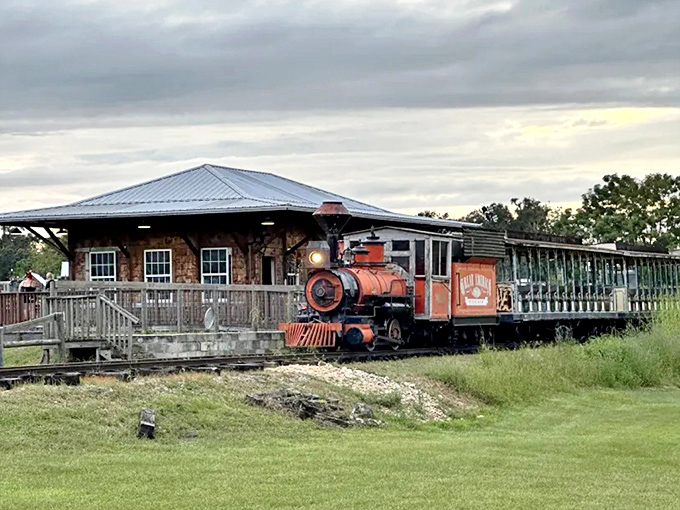 Kirby Family Farm's vintage train delights visitors of all ages, proving that sometimes the simplest pleasures are the most magical.