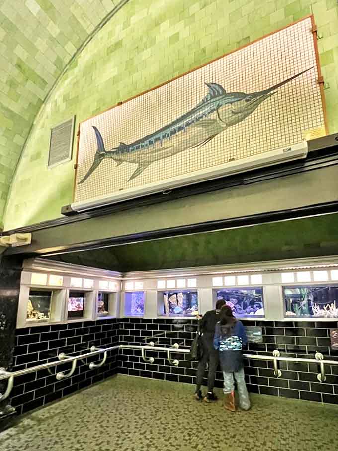 This magnificent swordfish artwork watches over visitors like an aquatic guardian, silently judging your posture as you pass.