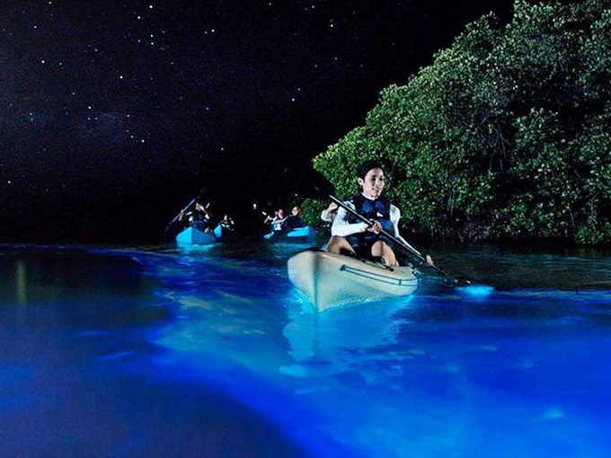 The perfect silhouette against a star-studded sky, with blue luminescence beginning to dance around the paddle's edge.