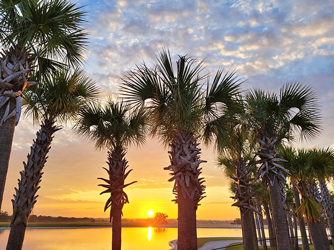 Palm trees frame a sunset so perfect it looks Photoshopped &ndash; Mother Nature showing off her Florida portfolio.