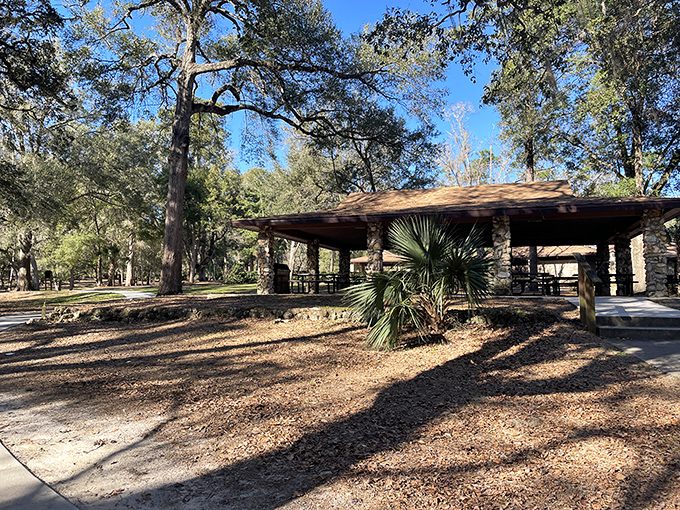 This shaded pavilion offers respite from the Florida sun after a morning of floating. Perfect for family gatherings where the conversation inevitably turns to "Remember when Uncle Bob flipped his tube?"