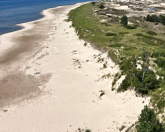 Mother Nature showing off with this perfect combination of golden sand, blue water, and green dune grass, Michigan's natural color palette at its finest.