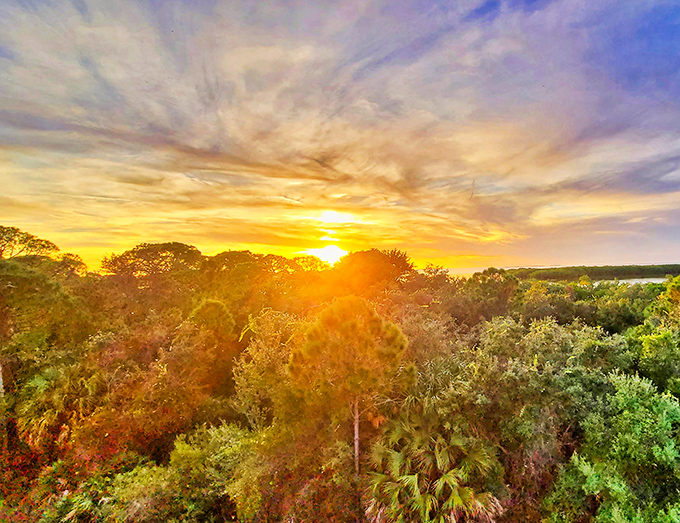 This sunset transforms the Florida landscape into a golden paradise&mdash;nature's way of saying "you picked the perfect time to visit."