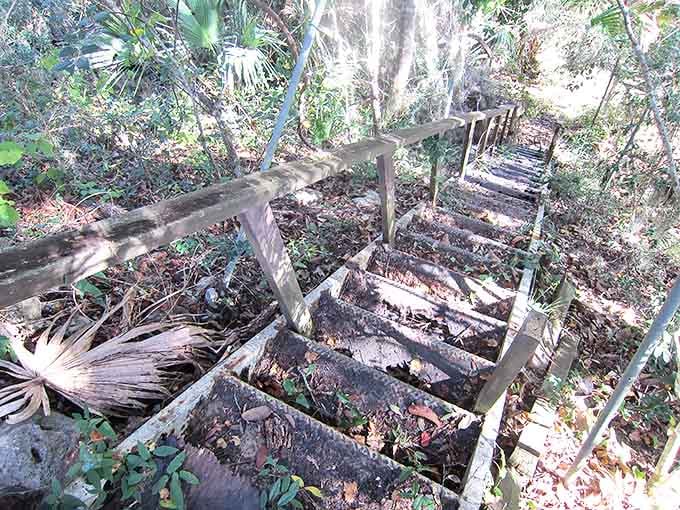 Nature slowly reclaims these wooden steps leading into the surrounding woods, creating gaps like missing teeth in an otherwise perfect smile.