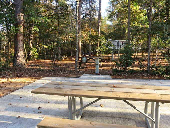 A picnic area that makes your local park's facilities look like they're not even trying.