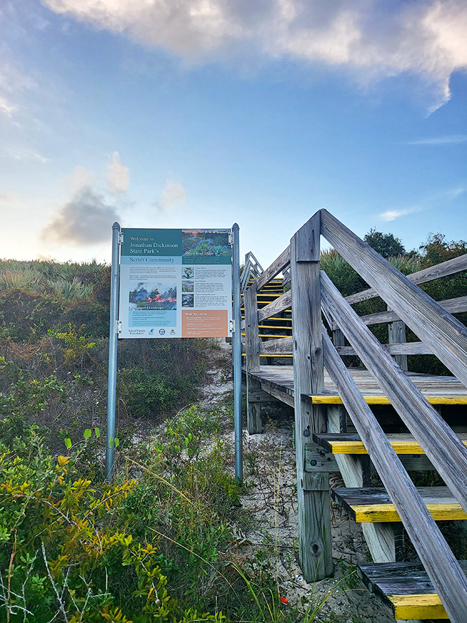 Mother Nature's syllabus laid out before your adventure begins. Read it or wing it&mdash;either way, she's got lessons planned.