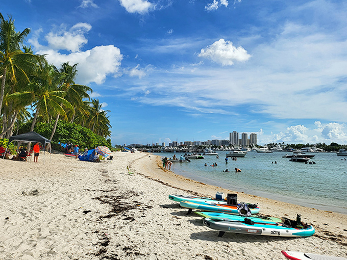 Unspoiled shoreline stretches invitingly along crystal waters, proving Florida still hides pristine beaches away from tourist crowds.