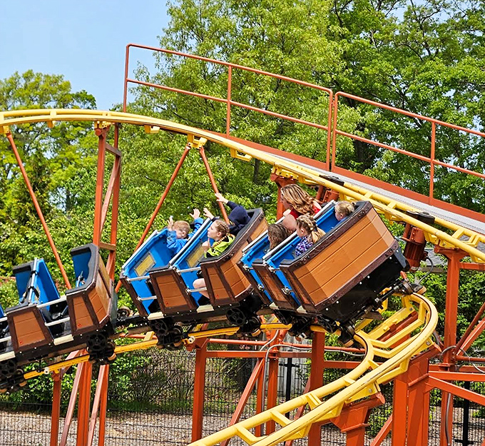 Families create memories on rides designed for shared experiences, where screams and laughter become the soundtrack to perfect Michigan summer days.
