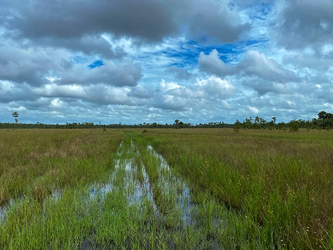 The wetland prairie stretches endlessly, grass and water blending together in a landscape that looks deceptively simple until you start exploring it.