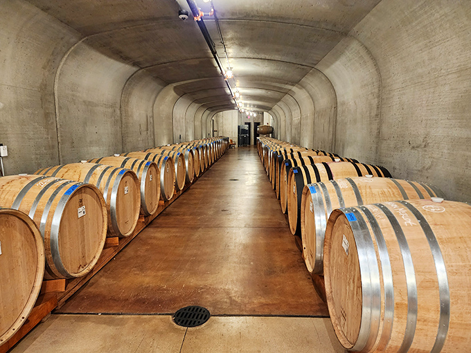 Oak guardians of future vintages stand in silent rows &ndash; inside Mari's underground caves, wine develops character through patience and perfect natural conditions.