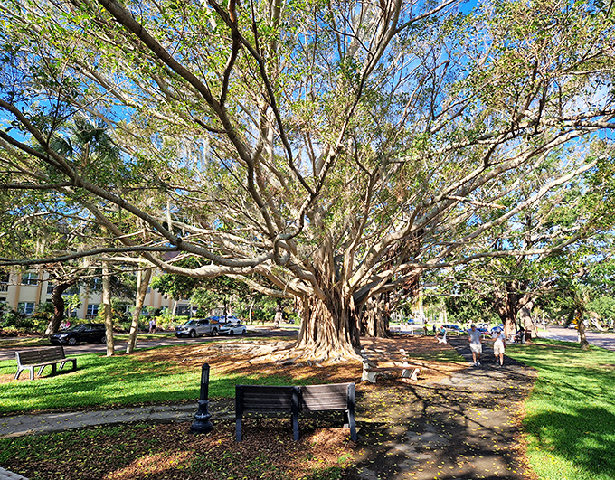 These inviting benches beneath sprawling banyan trees offer the increasingly rare luxury of simply sitting and watching the world go by.