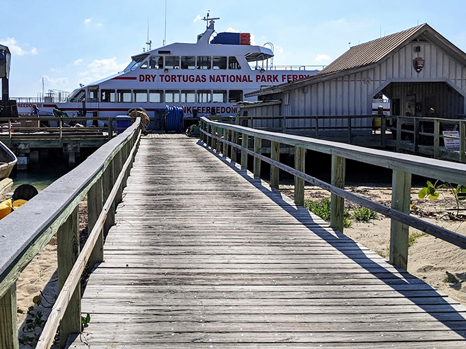 The boardwalk to adventure begins here, where the Dry Tortugas ferry delivers visitors to this remote paradise.