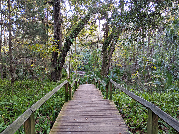 This wooden walkway isn't just crossing water &ndash; it's bridging everyday life to the extraordinary world waiting just beyond.