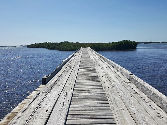 This wooden walkway stretches toward adventure – or at least toward a great spot to lose your fishing lure.