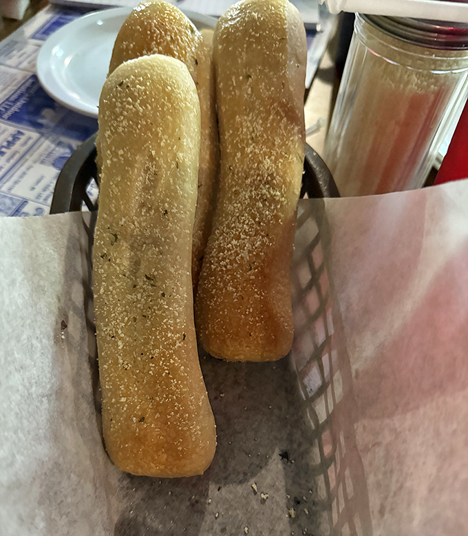 These aren't just breadsticks &ndash; they're warm, hand-crafted vessels of carbohydrate joy, dusted with just the right amount of seasoning.
