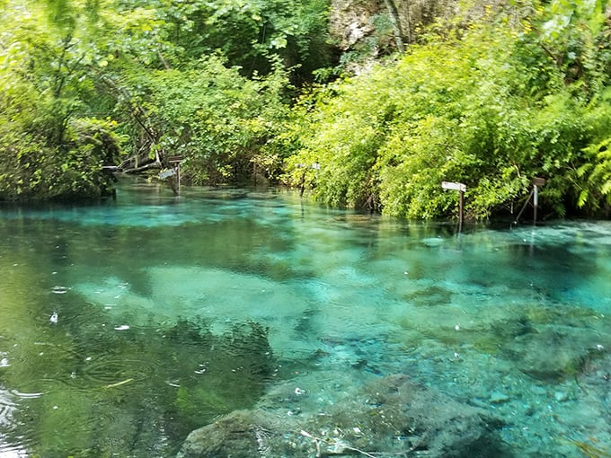 The water clarity borders on the supernatural – you can count individual grains of sand from your floating perch 20 feet above.