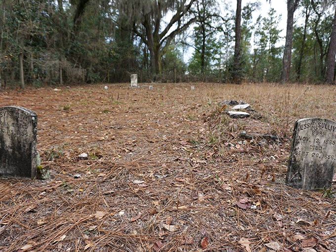 Family plots tell stories of generations connected by blood and memory, their final resting places a permanent reunion.