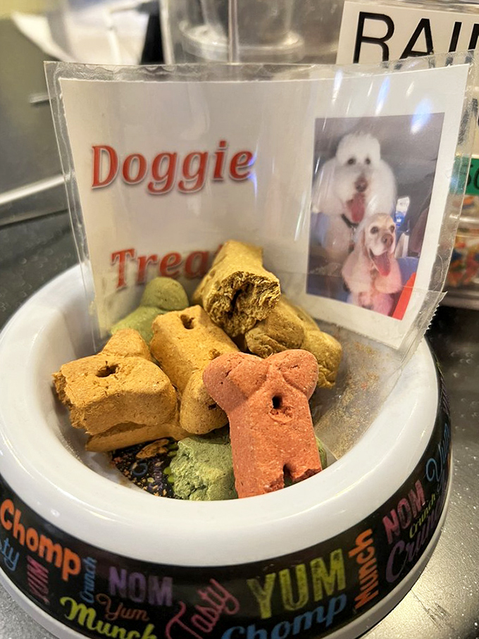 Even four-legged friends get the gourmet treatment with these colorful, house-made doggie treats – because why should humans have all the fun?