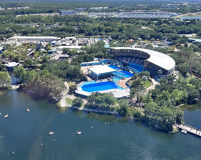 Elevated Park View: SeaWorld's thoughtful design integrates world-class coasters with animal habitats and shows, creating a unique theme park where conservation and thrills exist in perfect harmony.