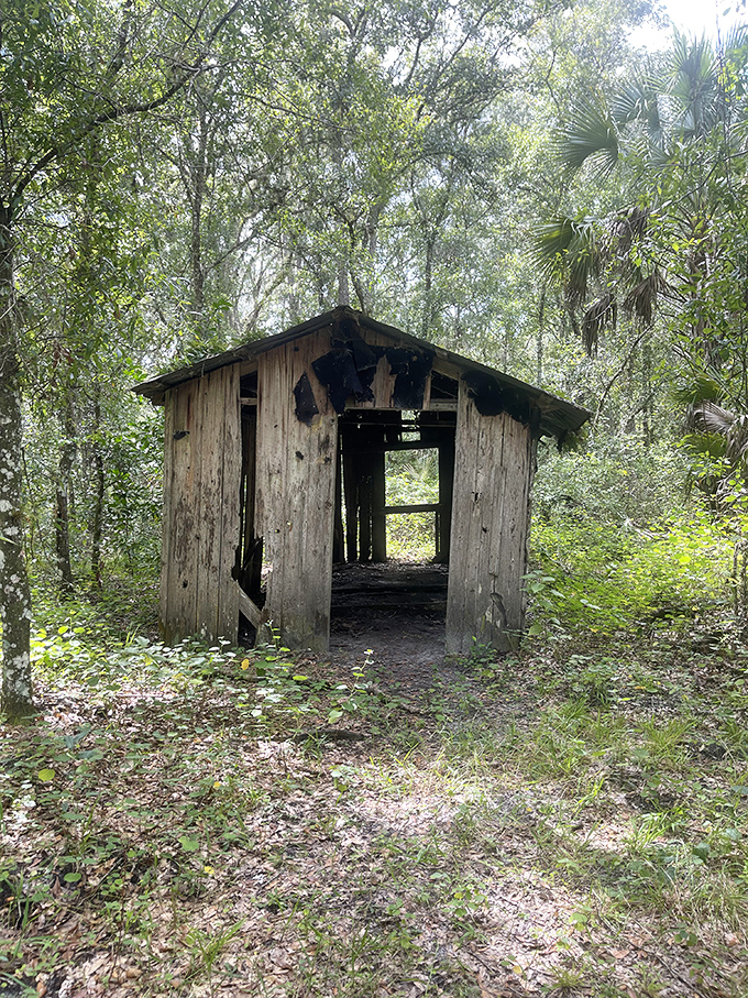 The cabin's entrance frames a portal to the past – step through and leave modern Florida behind.