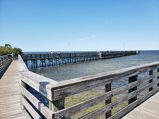 The fishing pier extends into the gentle waters, offering anglers prime spots to cast while pelicans patrol overhead, waiting for the perfect moment to dive.