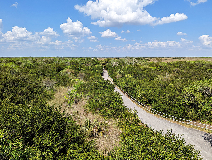 There&rsquo;s something soothing about this view, like nature politely letting humans pass through.