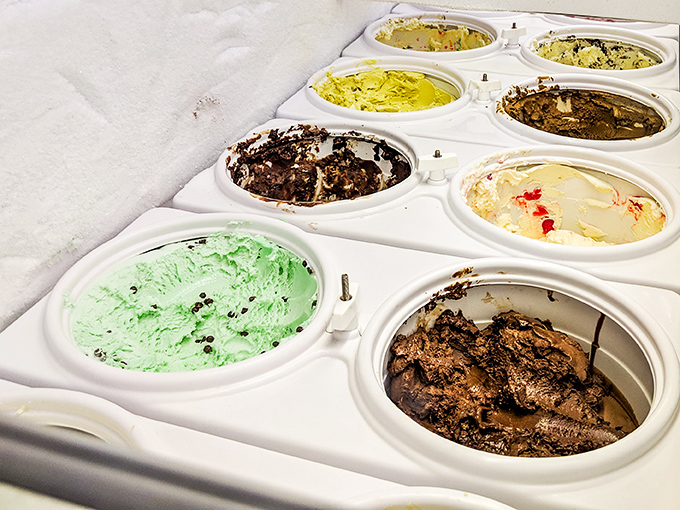 Webb's homemade ice cream counter offers a rainbow of flavors that make the Florida heat almost worth enduring.