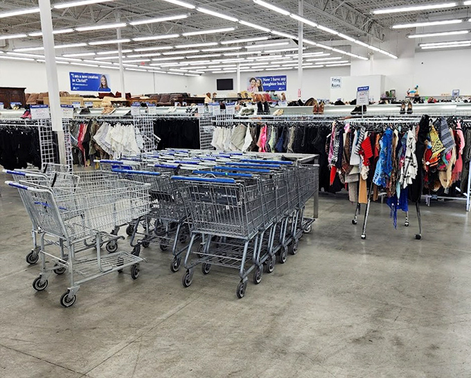 SuperThrift's organized chaos is a bargain hunter's paradise &ndash; like a department store where everything comes with a backstory.