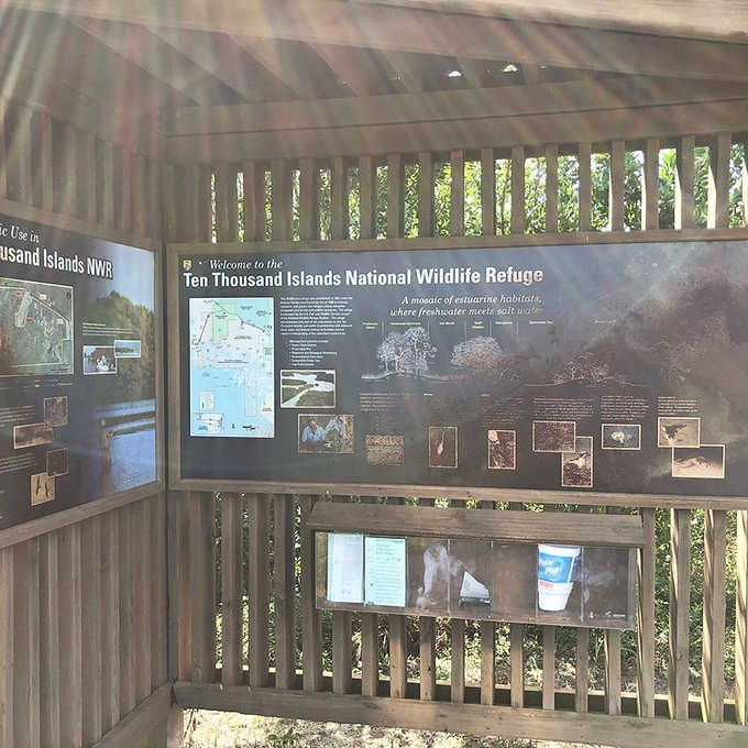 Knowledge awaits curious minds at the refuge kiosk, where visitors learn the secrets of this complex ecosystem before venturing into its depths.