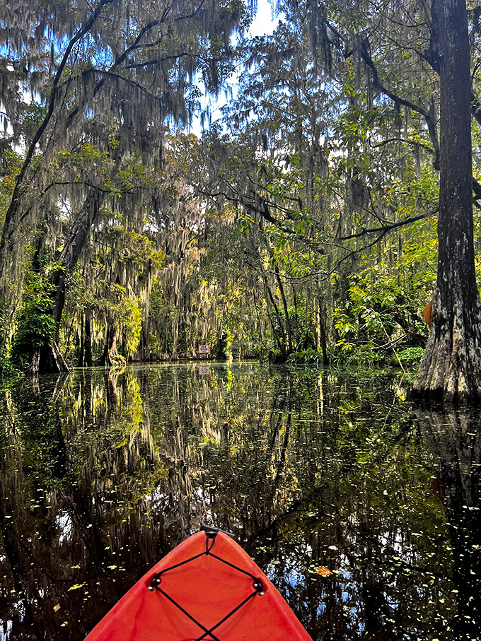 A red kayak provides the perfect contrast to the green wonderland, as paddlers drift through what locals rightfully call "the most beautiful mile of water in Florida."
