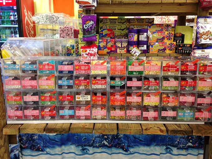 A rainbow arsenal of jelly beans stands ready to deploy tactical sweetness, organized with military precision and artistic flair.