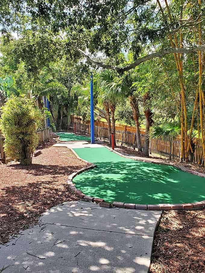 The mini-golf course winds through lush Florida landscaping, offering a deceptively challenging 18 holes of family-friendly frustration.