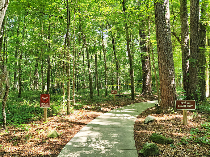 The paved walking trail: accessible adventure for everyone, because Mother Nature believes in equal opportunity awe-inspiring experiences.