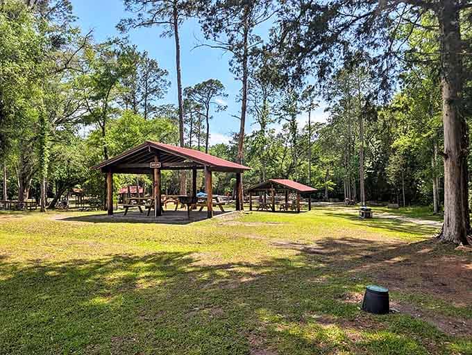 The pavilion&mdash;where gravity-defying adventurers gather to compare stories and wobbling knees before heading skyward again.