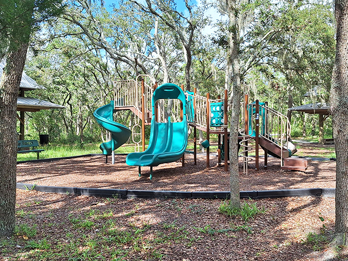 The playground offers little adventurers a chance to swing and slide &ndash; because sometimes kids need to be wilder than wildlife.