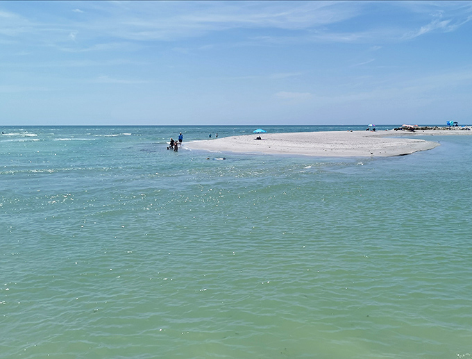 The famous sandbar at Turner Beach creates a natural wading pool where families gather to enjoy shallow, warm waters.