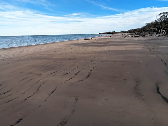Rippled sand patterns tell stories of tides and currents, nature's ephemeral artwork refreshed with each ocean breath.