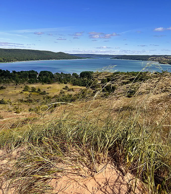 From this bluff overlook, Lake Michigan stretches to infinity, making smartphone panoramas seem woefully inadequate.