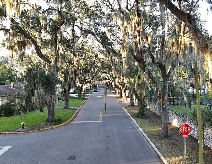 The scenic drive offers different magic at every turn, with Spanish moss creating ethereal curtains that dance in the coastal breeze.